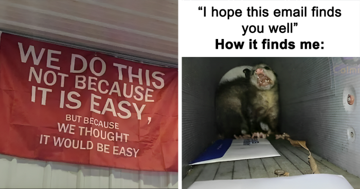 50 Hilariously Relatable Memes From ‘Cheerful Nihilism’