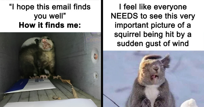 50 Hilariously Relatable Memes From ‘Cheerful Nihilism’