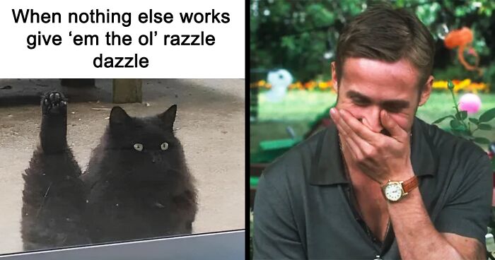 50 Hilariously Relatable Memes From ‘Cheerful Nihilism’