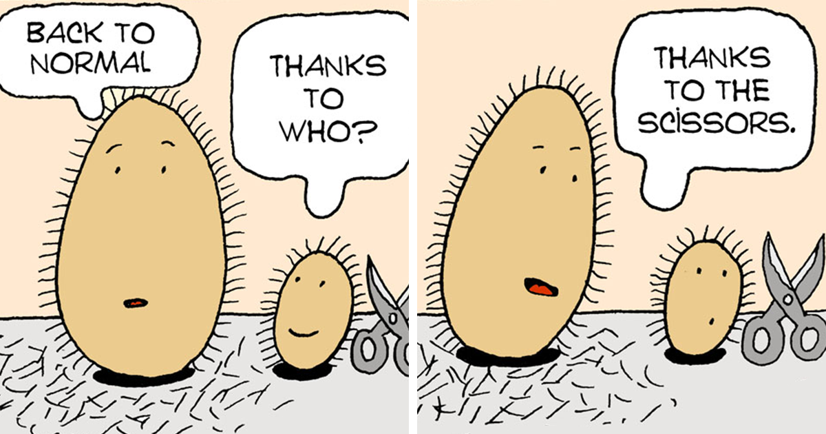 Inspired By Quirky Life Events, I Created The “2 Hairy Potatoes” Comic ...