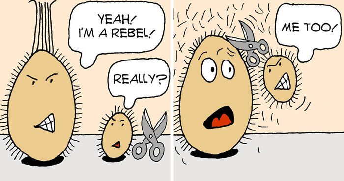 Inspired By Quirky Life Events, I Created The “2 Hairy Potatoes” Comic ...