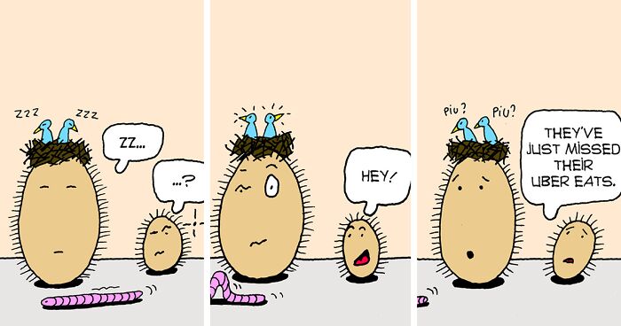 Inspired By Quirky Life Events, I Created The “2 Hairy Potatoes” Comic ...