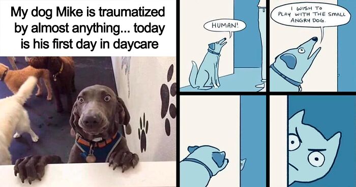 50 Dog Memes Guaranteed To Make You Smile