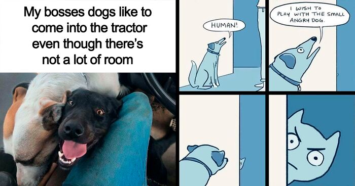 50 Dog Memes Guaranteed To Make You Smile