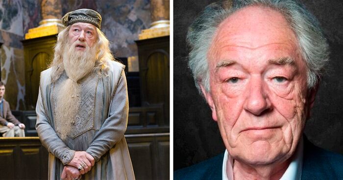 “Death Is But The Next Great Adventure”: Dumbledore Actor Michael ...