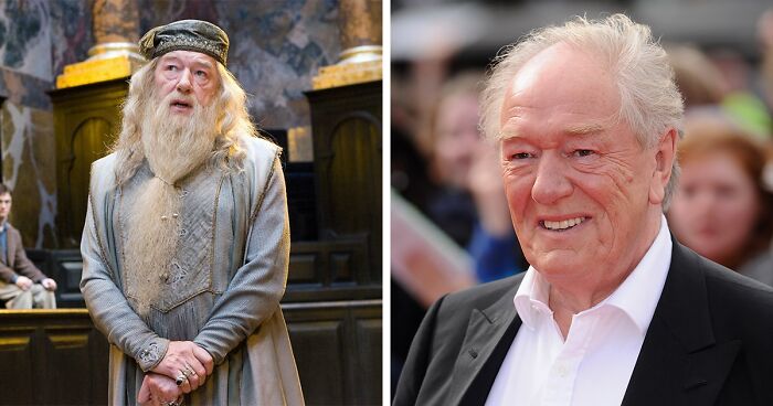 “Death Is But The Next Great Adventure”: Dumbledore Actor Michael ...