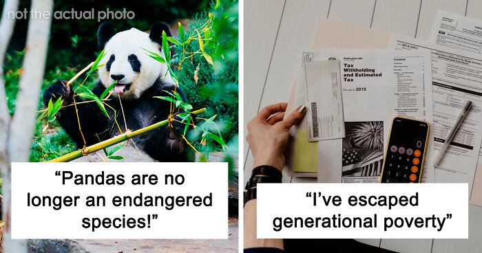 30 Good Things Happening In The World Right Now That Many People Don’t ...