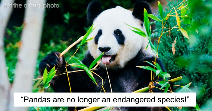 30 Good Things Happening In The World Right Now That Many People Don’t ...
