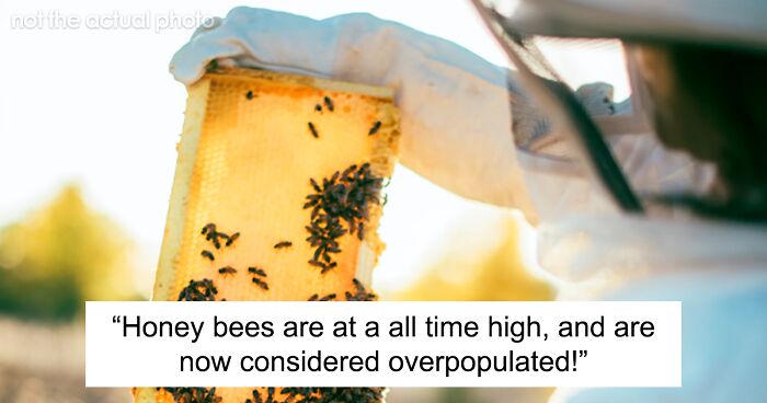 30 Good Things Happening In The World Right Now That Many People Don’t ...