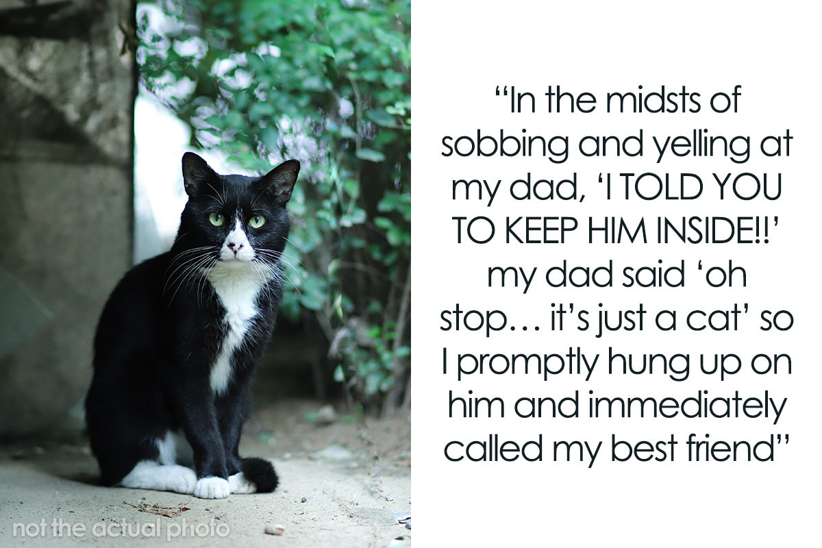 “Oh Stop… It’s Just A Cat”: Woman Bans Parents From Grandkids Following ...