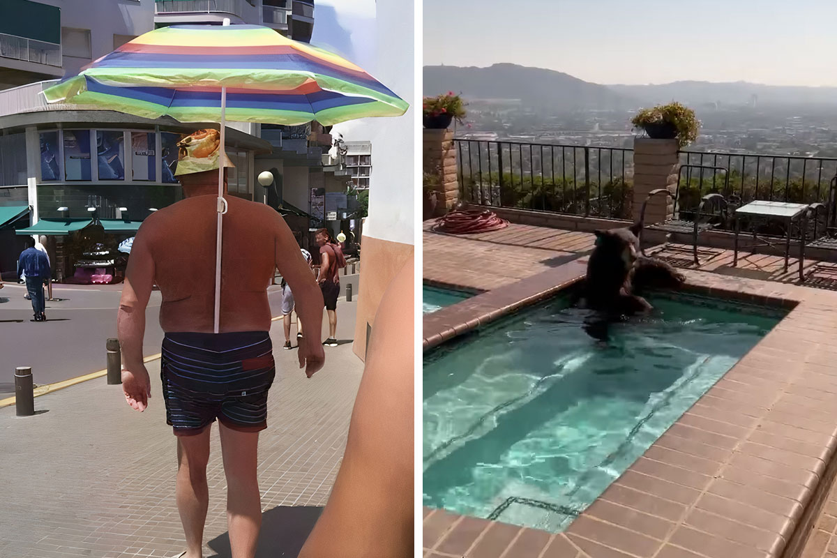 50 Raw And Funny Pics From People Who Were Just Trying To Get Through A ...