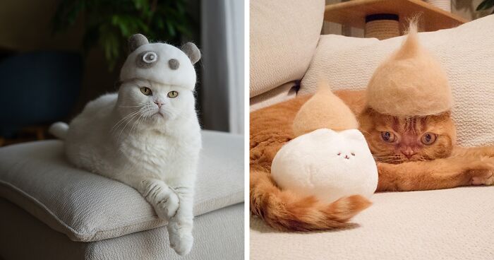 32 Adorable Feline Hats And Wigs This Japanese Couple Made From ...