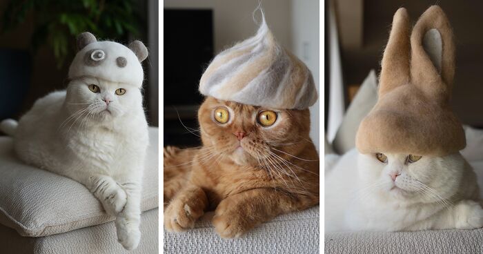 32 Adorable Feline Hats And Wigs This Japanese Couple Made From ...