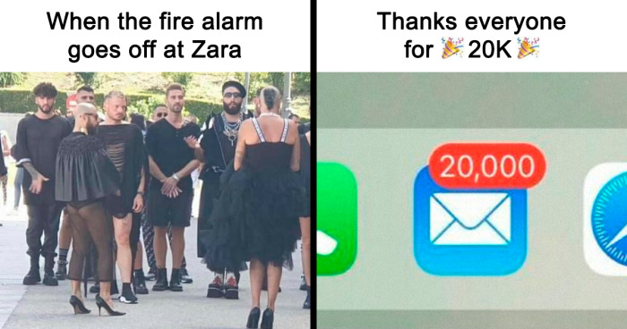 50 Of The Best Memes, As Shared On “Beige Cardigan” Account | Bored Panda