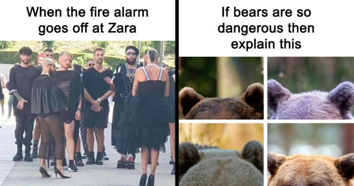 50 Of The Best Memes, As Shared On “Beige Cardigan” Account | Bored Panda