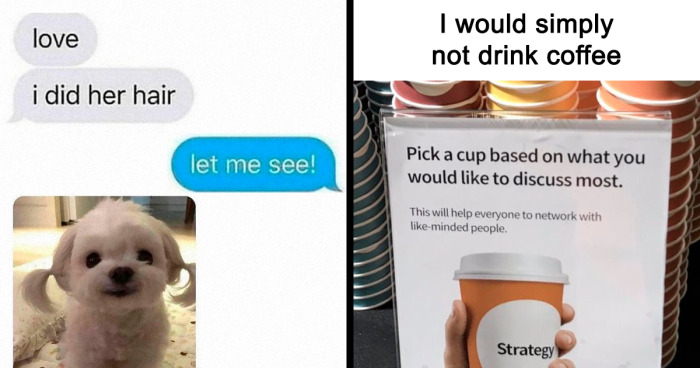 50 Of The Best Memes, As Shared On “Beige Cardigan” Account | Bored Panda