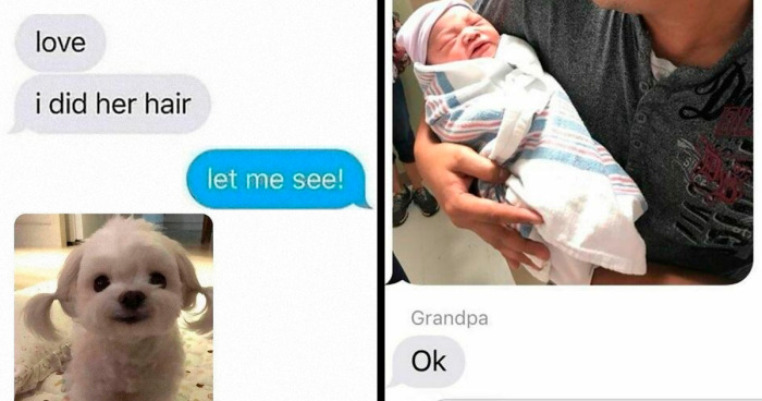 50 Of The Best Memes, As Shared On “Beige Cardigan” Account | Bored Panda