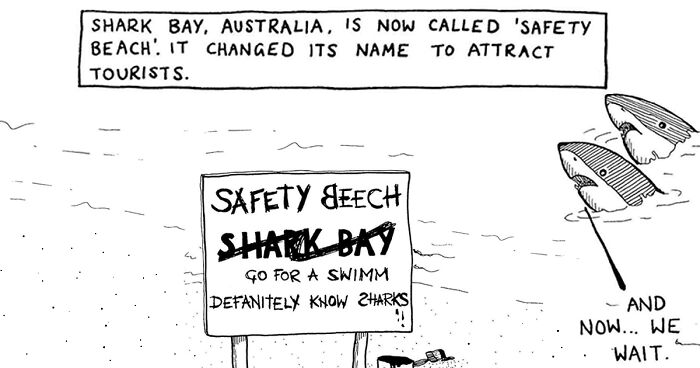 40 New Comics That Depict The Snarky Conversations Between Sharks And ...