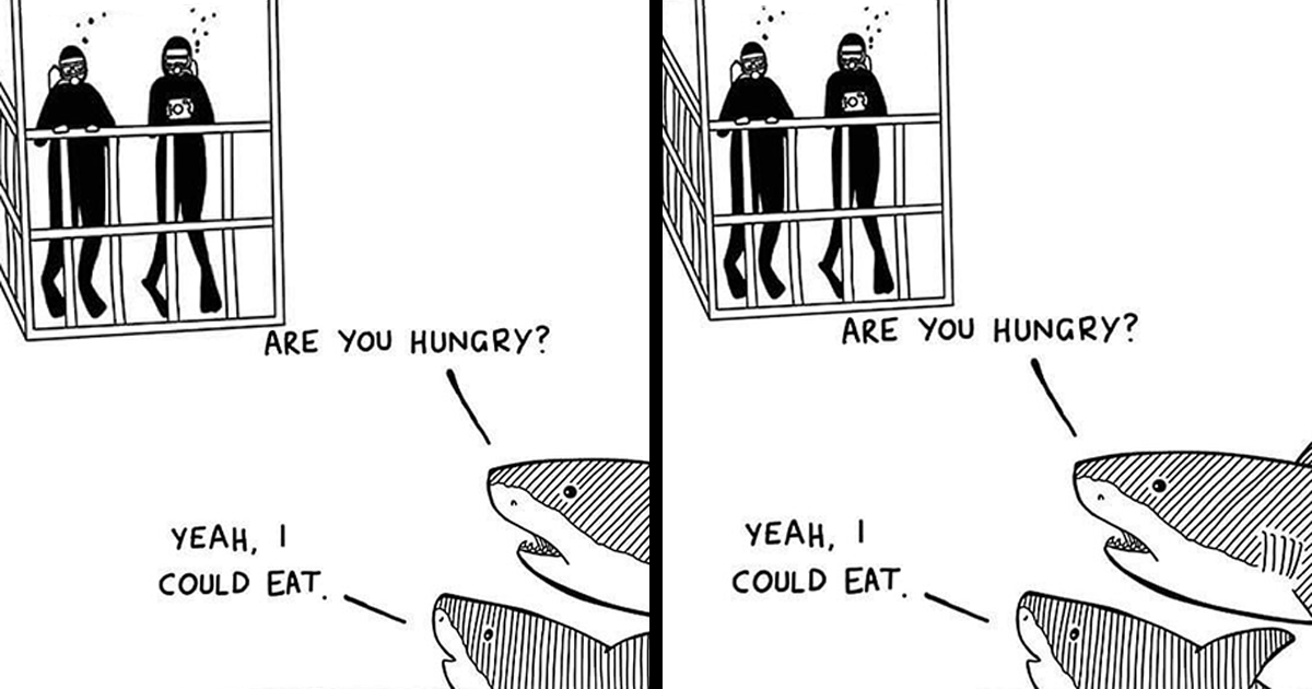 Funny Shark Comic
