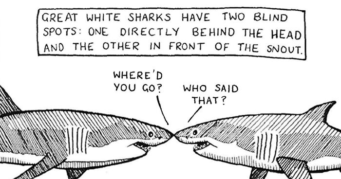 40 New Comics That Depict The Snarky Conversations Between Sharks And Other Aquatic Life | Bored ...