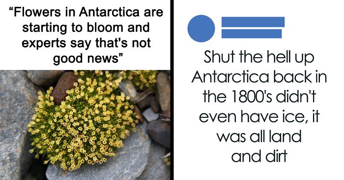 45 Perfect Examples Of Overconfident People Failing To Fact Check (New ...