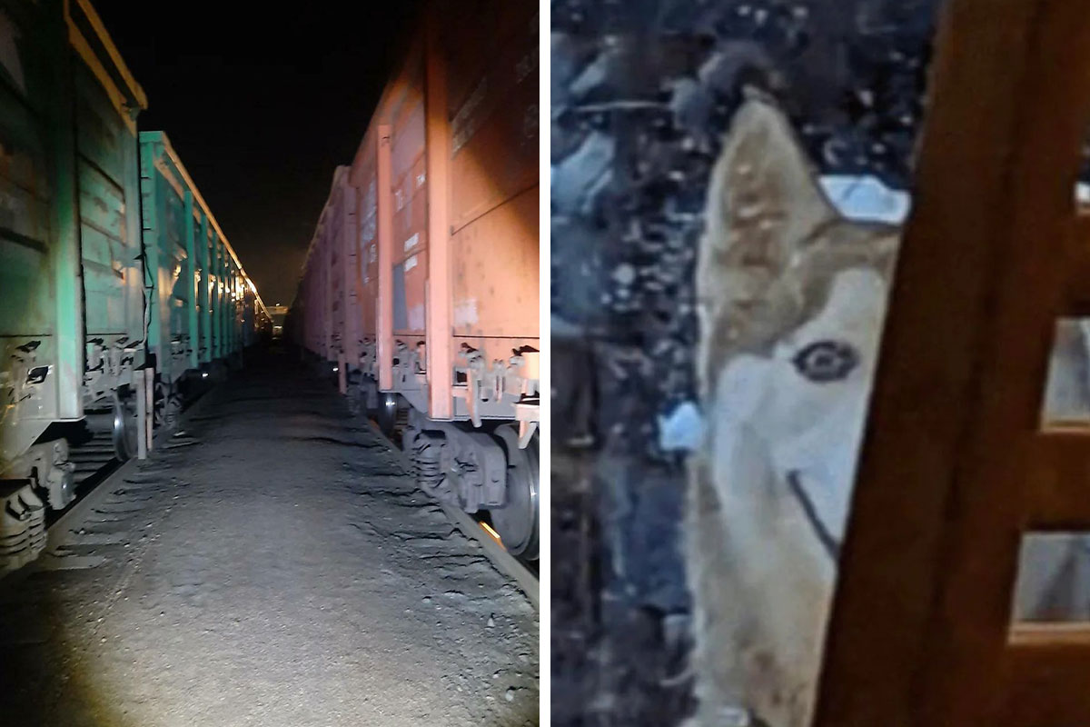 Here Are The Creepiest ‘Oddly Terrifying’ Photos If You Don’t Feel ...