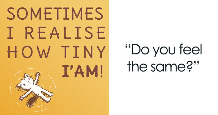 I Made 20 New Illustrations About An Introverted Cat Showing That It’s ...