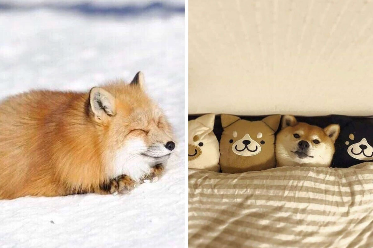 50 ‘Blessed Images’ That Radiate Positivity And Happiness | Bored Panda