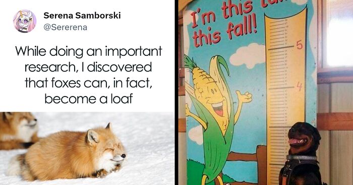 50 ‘Blessed Images’ That Radiate Positivity And Happiness | Bored Panda