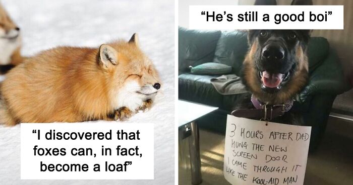 50 ‘Blessed Images’ That Radiate Positivity And Happiness | Bored Panda