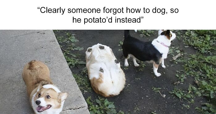 50 ‘Blessed Images’ That Radiate Positivity And Happiness | Bored Panda