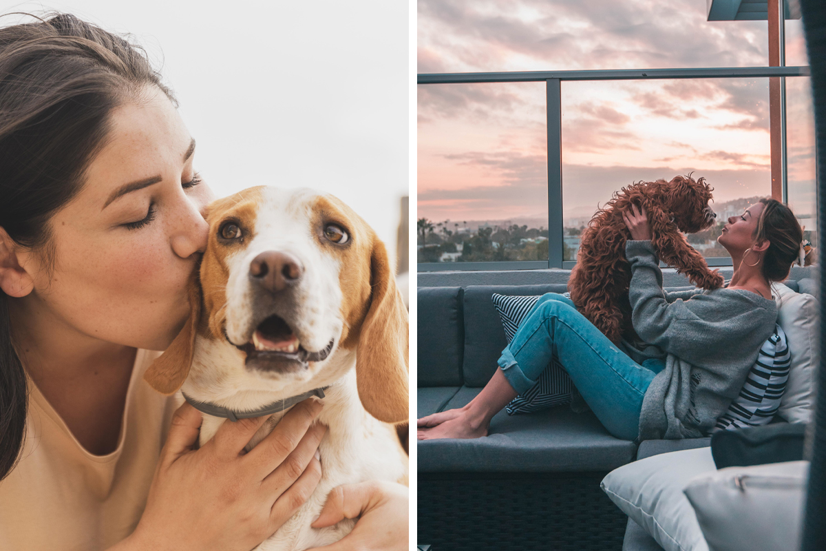 Do Dogs Prefer Humans Or Other Dogs