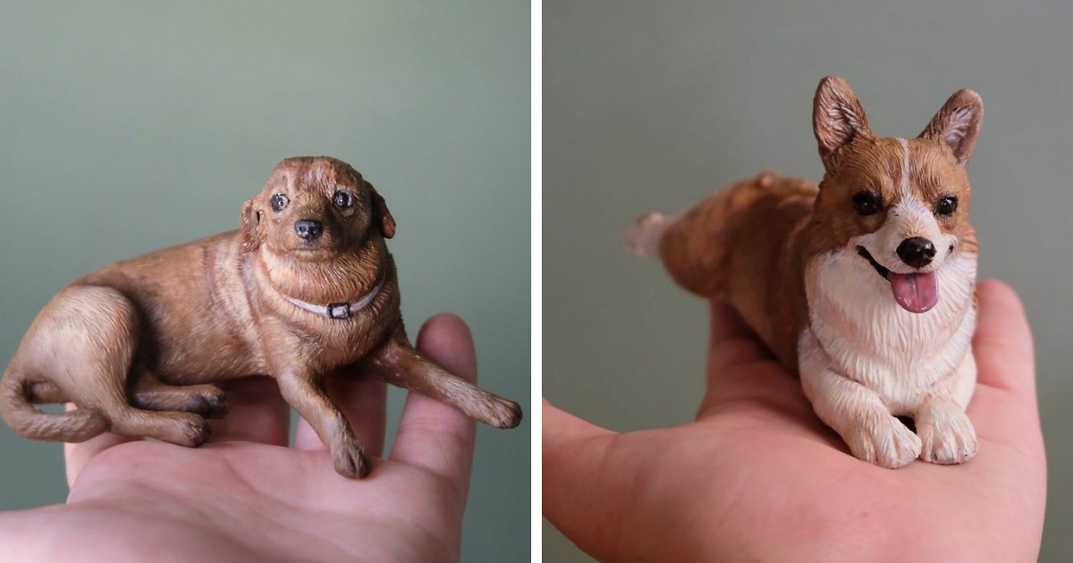 My Collection Of Dog And Cat Sculptures That I Made From Polymer Clay ...