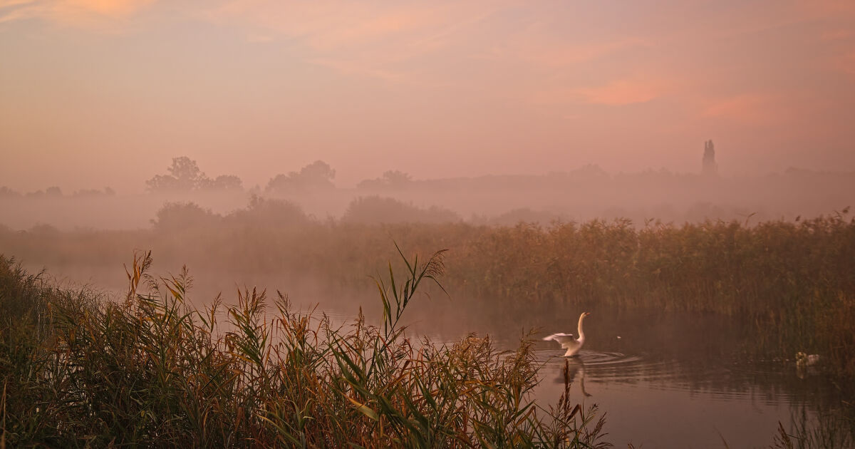 Dreamy Autumn Morning Walk With Fog (17 Pics) | Bored Panda