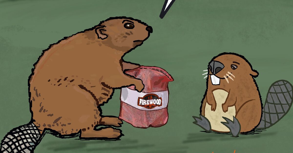 My 10 Halloween-Inspired One-Panel Comics | Bored Panda