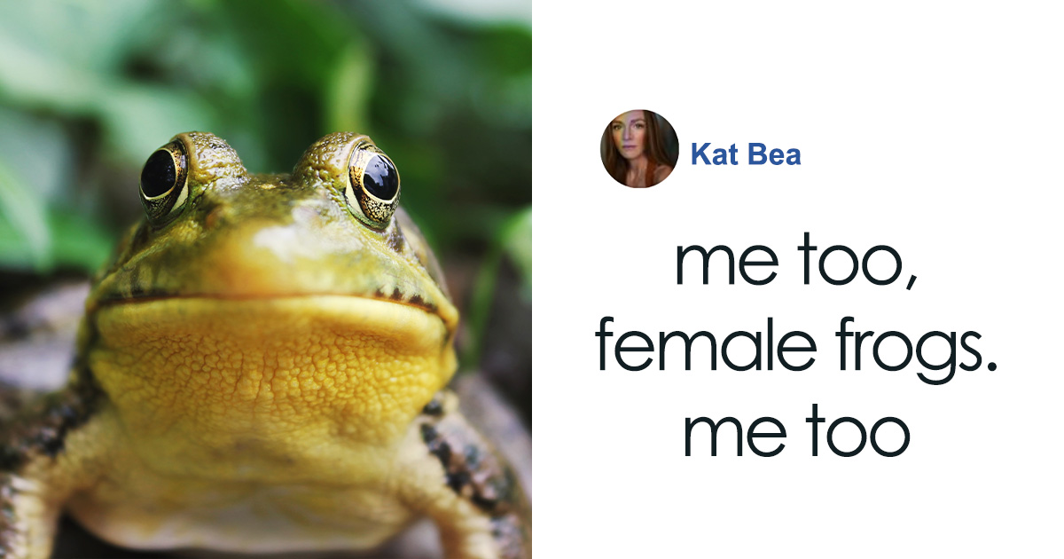  Girl Same Female Frogs Will Do Anything Even Fake Death To