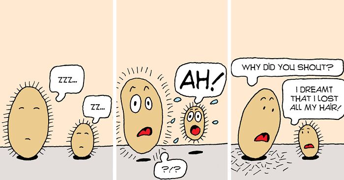 Inspired By Quirky Life Events, I Created The “2 Hairy Potatoes” Comic ...