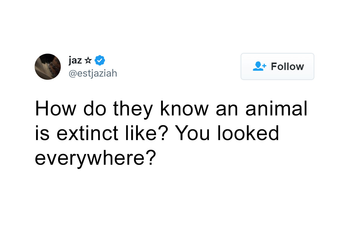 This Page Shares The Most Random Posts But Still Delivers Every Time ...