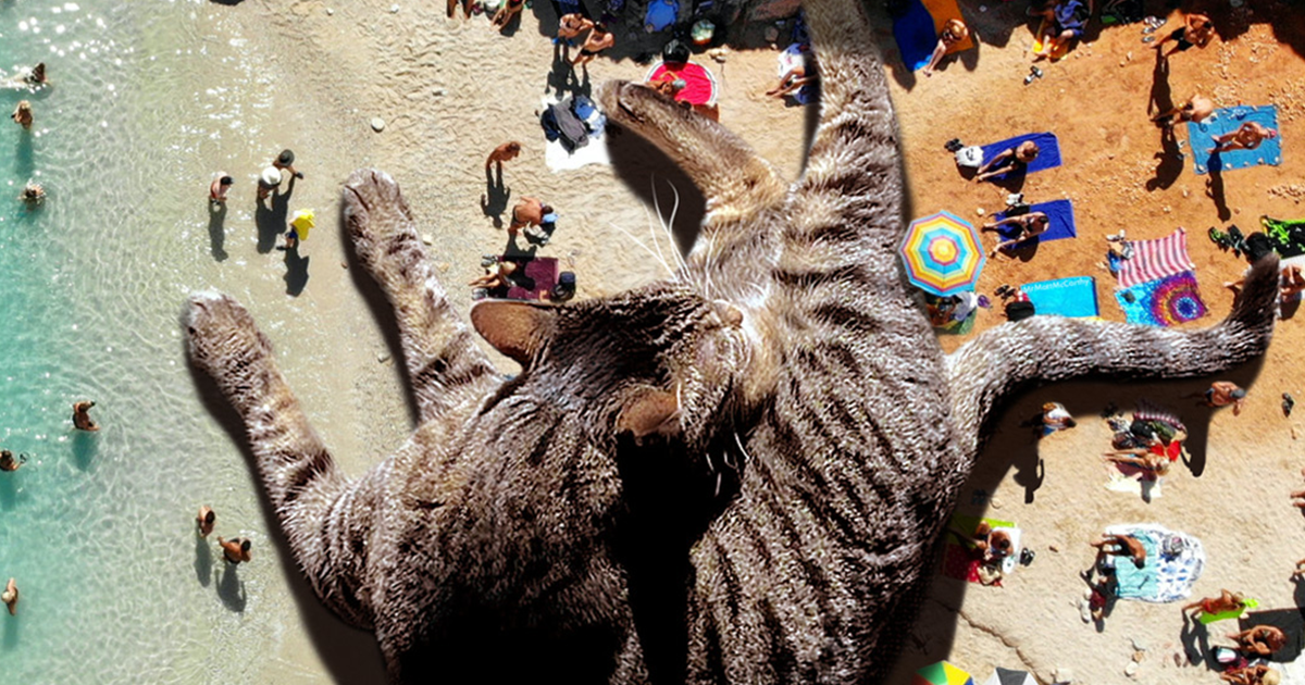 30 Adorably Unsettling Art Pieces That Show Giant Cats Ruling The World ...