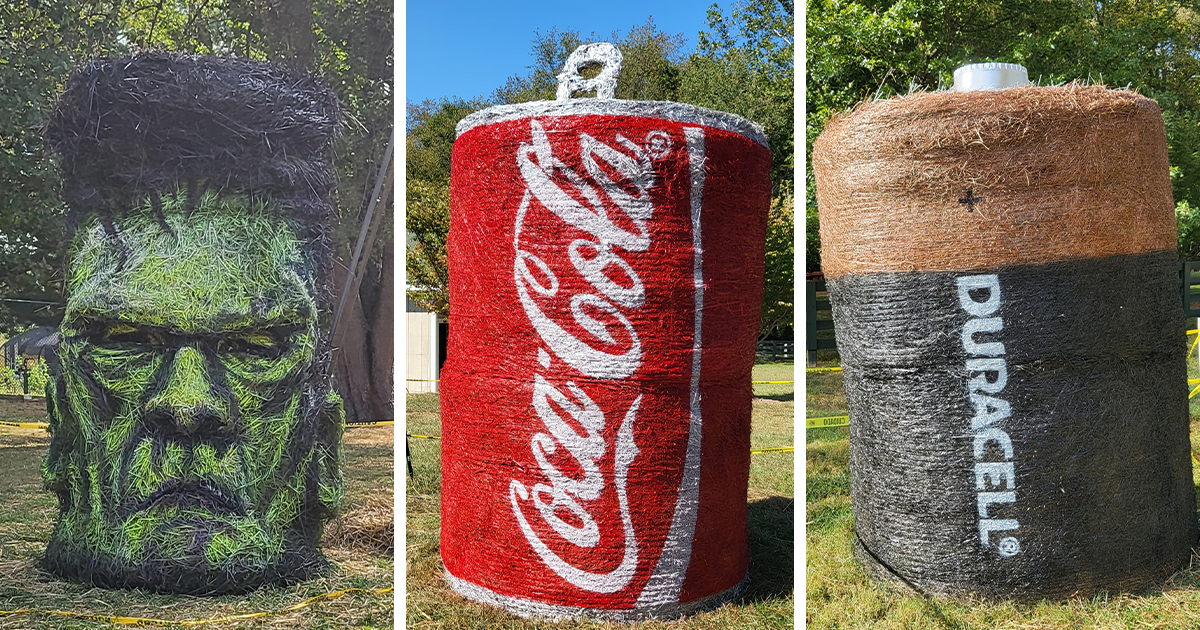 Every Year, I Create Giant Hay Bale Art For A Local Non-Profit’s Annual ...