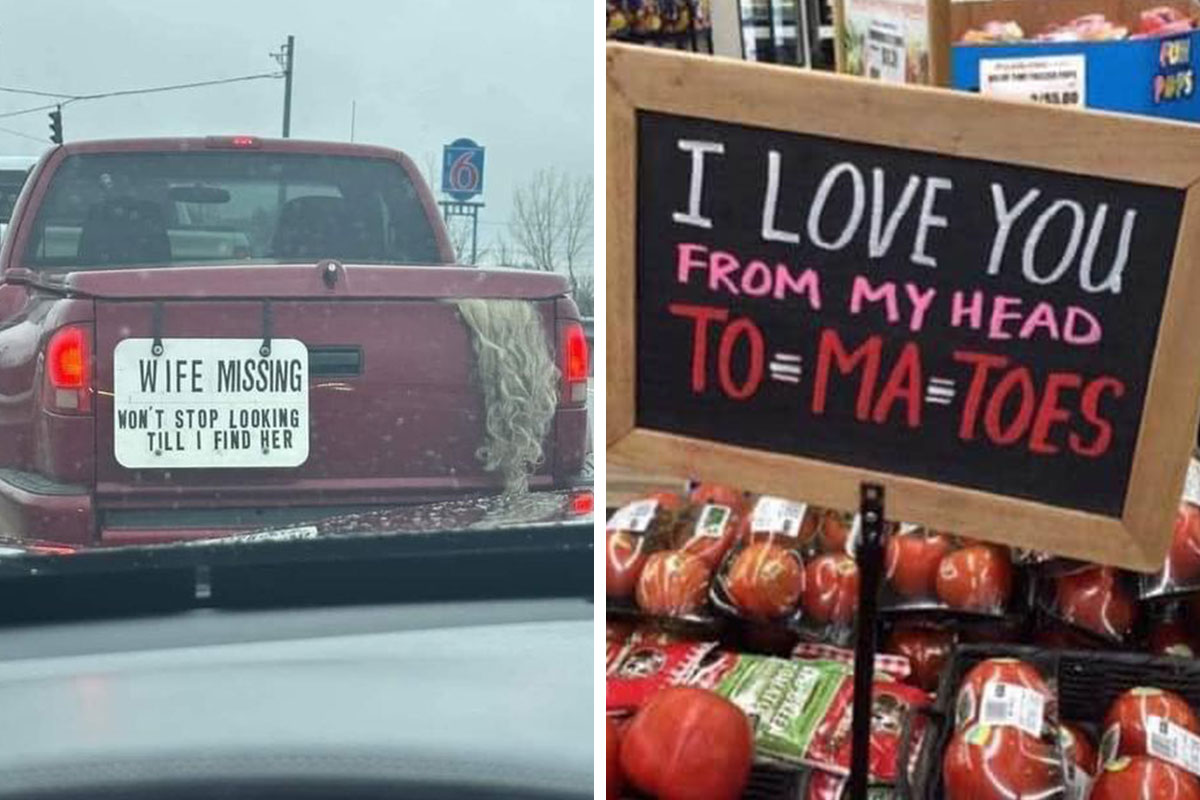 48 Chaotically Funny Signs That People Have Discovered In The Wild ...
