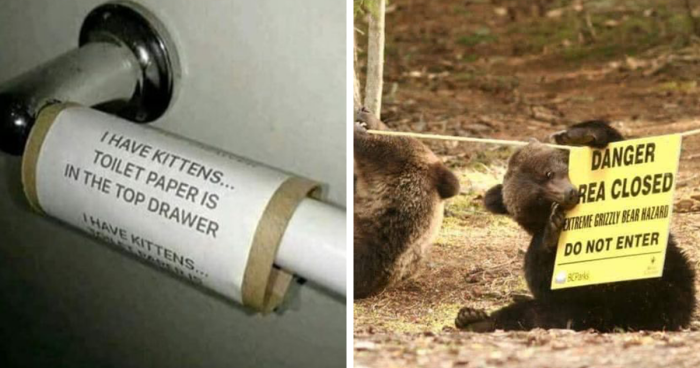 48 Chaotically Funny Signs That People Have Discovered In The Wild