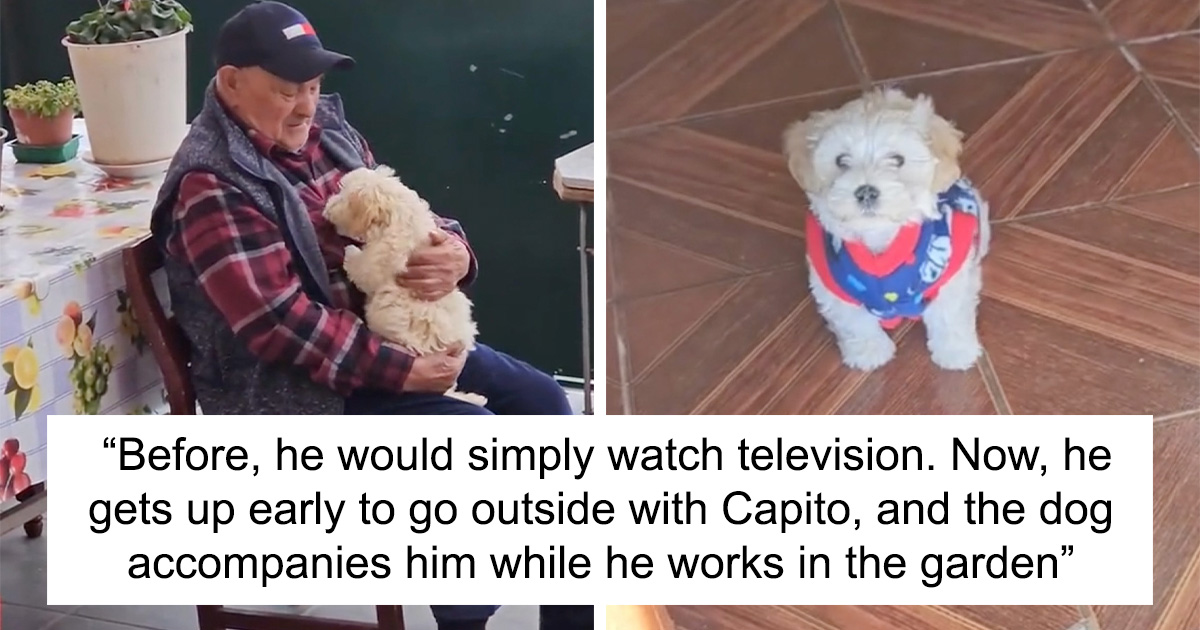 Granddaughter Gives Her 96 Y.O. Grandpa A Puppy, Sees His Remarkable ...