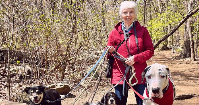 Great Dane Meets Elderly Woman On A Hike, Decides She’s His Grandma Now