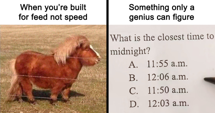 50 Hilarious Memes That Kind Of Have A Point, As Shared On “Brainy ...