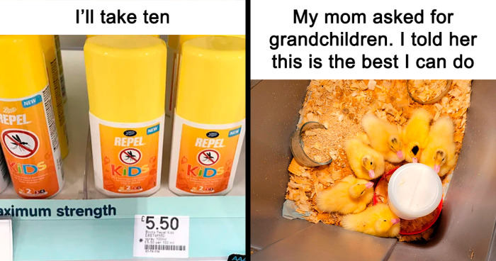 No Kids, No Problem: 40 Hilariously Spot-On Memes And Jokes About The ...