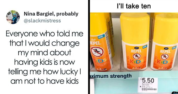 No Kids, No Problem: 40 Hilariously Spot-On Memes And Jokes About The ...