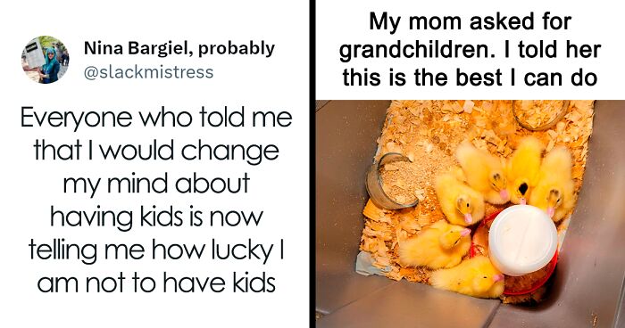 No Kids, No Problem: 40 Hilariously Spot-On Memes And Jokes About The ...