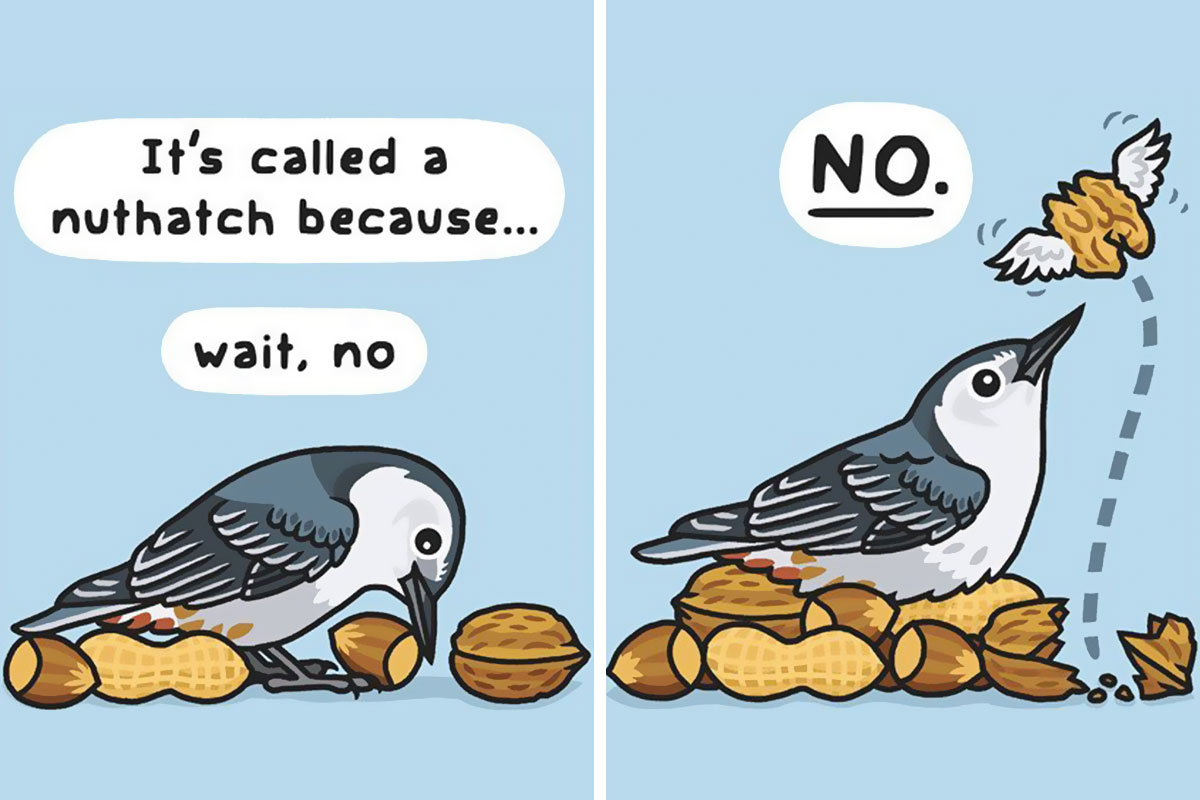 This Artist Brings Laughter To Bird And Nature Lovers With Humorous ...