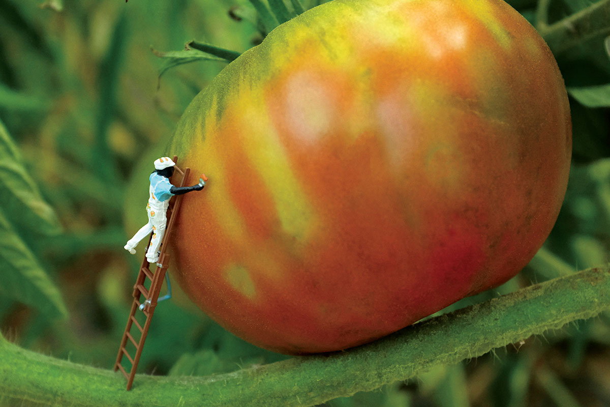 I Spent A Year Photographing The Tiny Residents Of Our Vegetable Farm, And Here Are The Best 20 ...